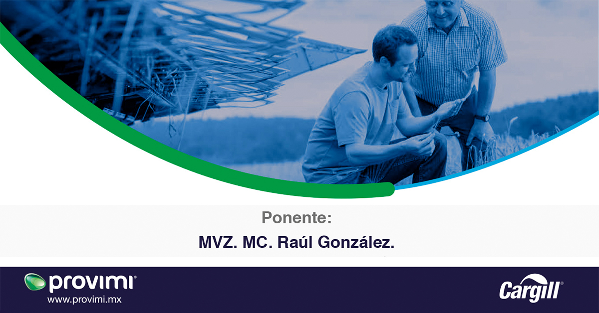 Noticias - Provimi®