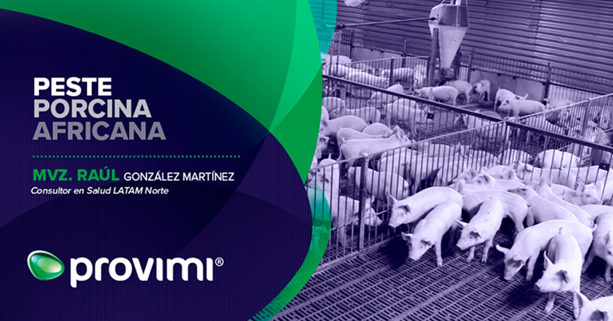 Noticias - Provimi®